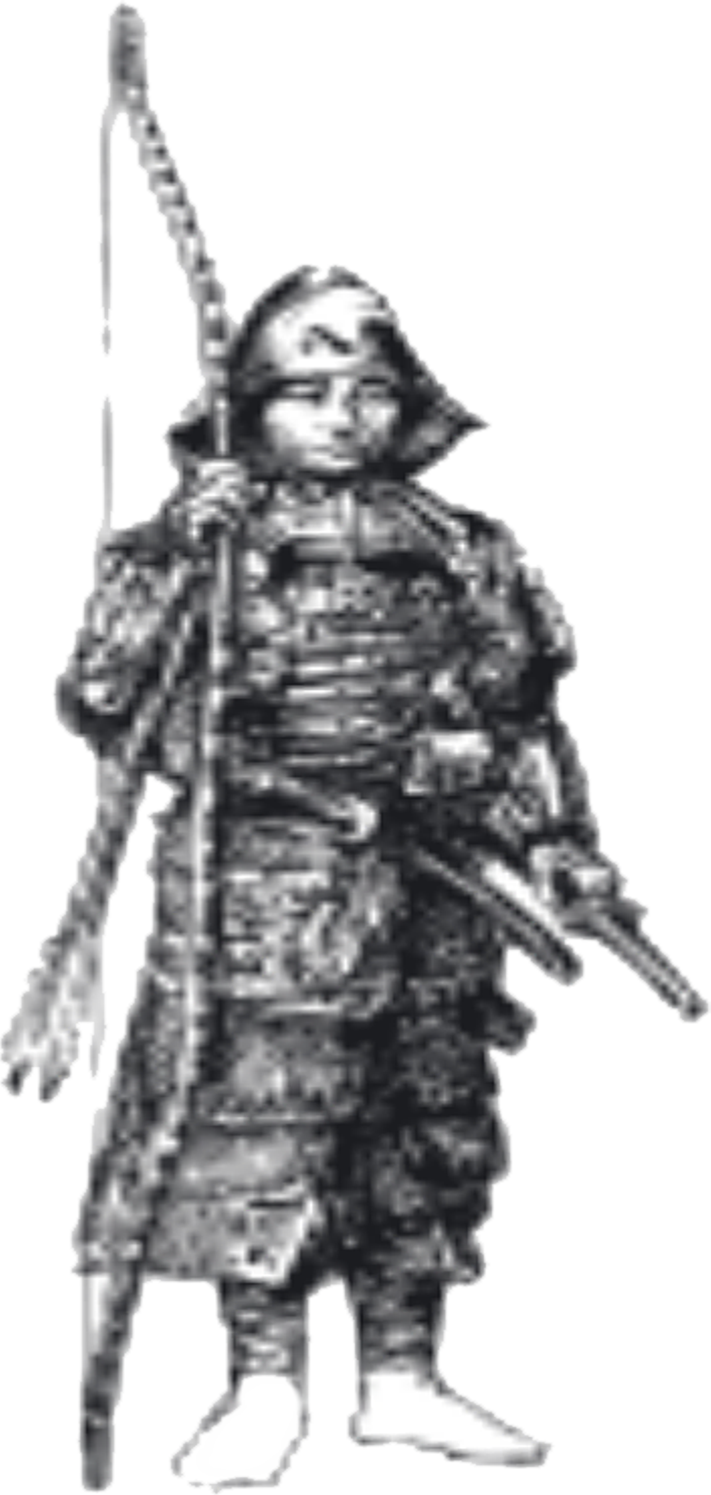 Sektionen – Budo-Shin-Dojo